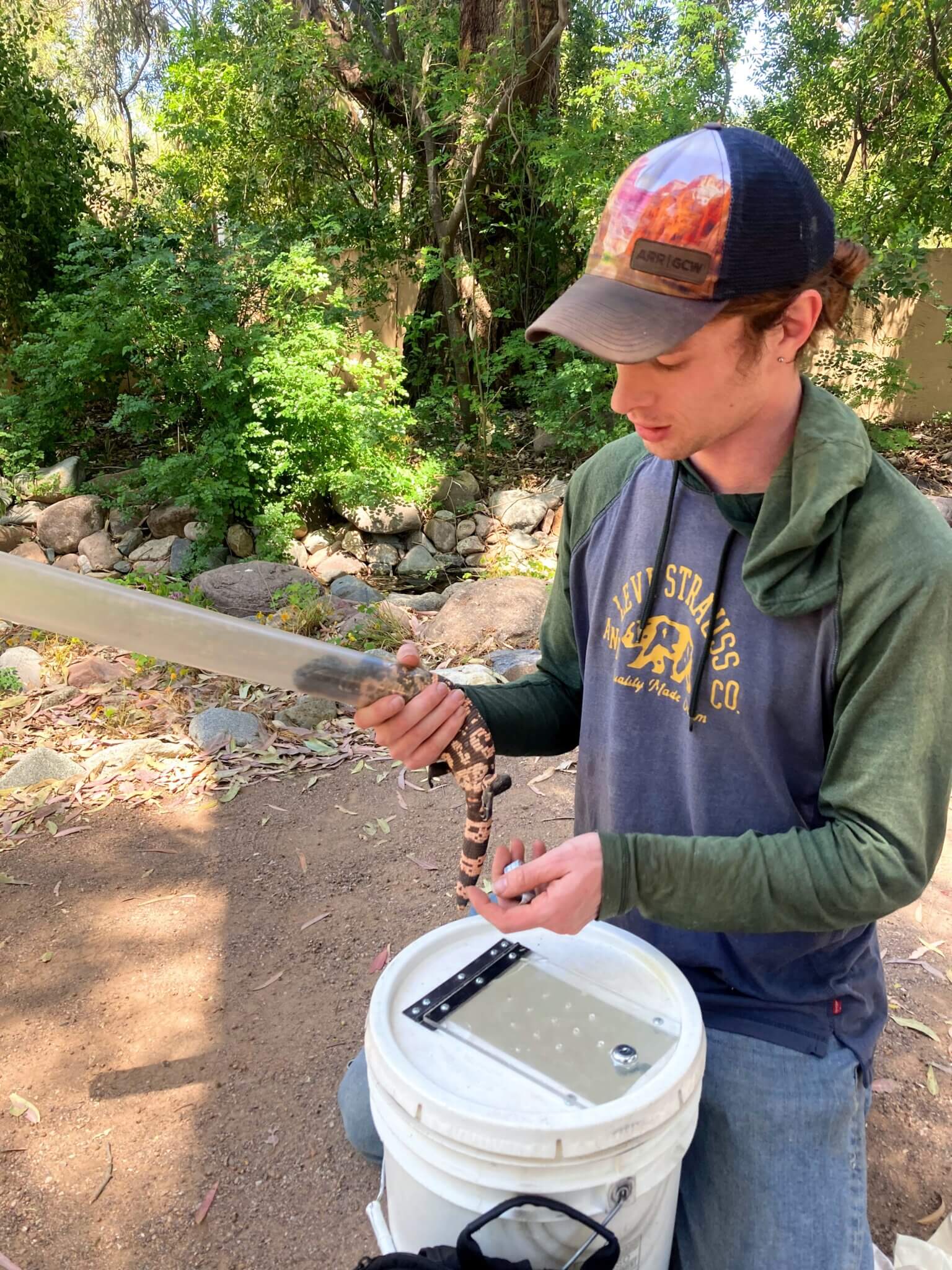 The Impact of Humans on Venomous Reptile Habitats: Q&A with Researcher ...