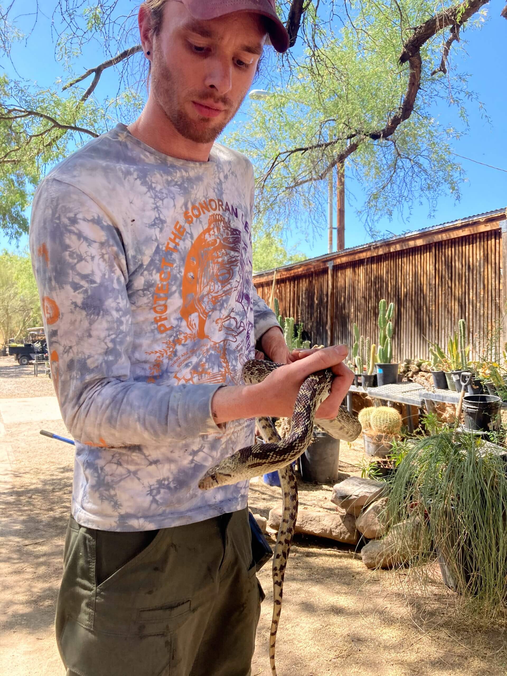 The Impact of Humans on Venomous Reptile Habitats: Q&A with Researcher ...