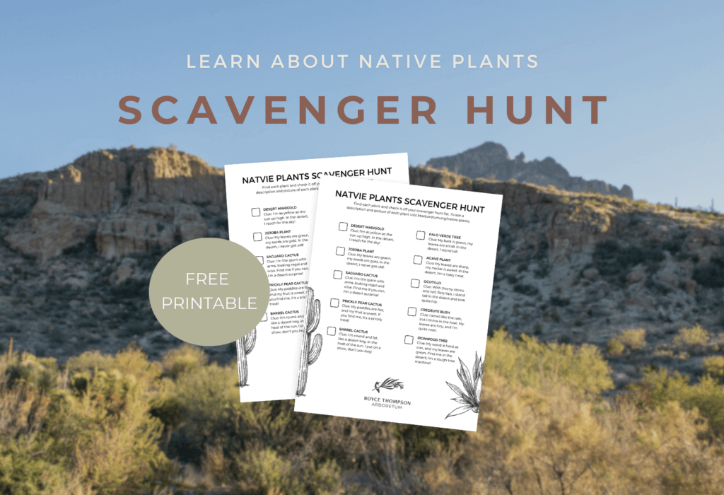 Nature's Perfect Partnership: Plants and Wildlife - Boyce Thompson ...