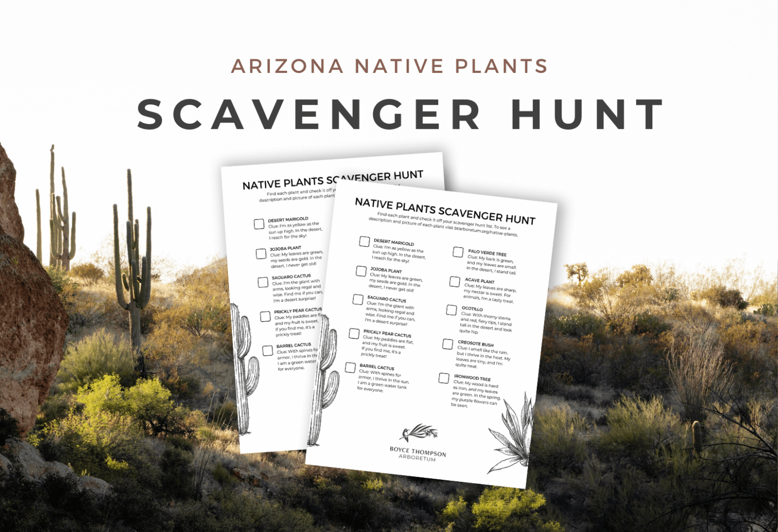 Native Plants of the Sonoran Desert: Learning and Scavenger Hunt ...